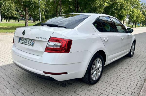 White Skoda Octavia 2020 in Taurage, with an engine capacity of 1.97 L and mileage of 217 thousand km for 7400 €, photo 4 on AUTOMOTO.COM.LV