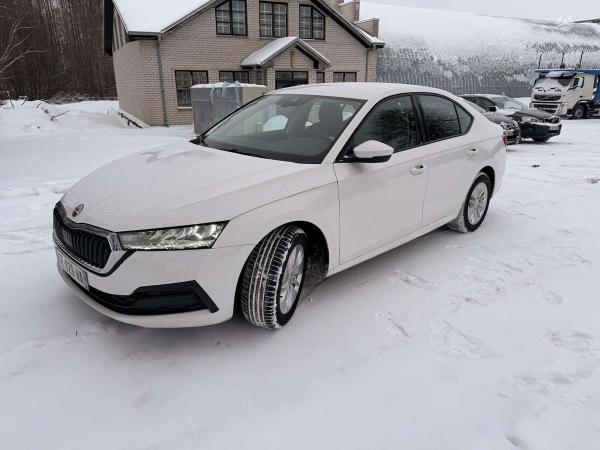 White Skoda Octavia 2022 in Taurage, with an engine capacity of 1.97 L and mileage of 256 thousand km for 10650 €, photo 1 on AUTOMOTO.COM.LV