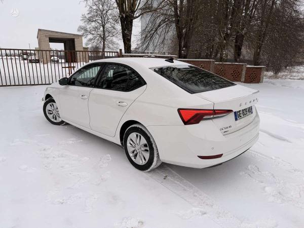 White Skoda Octavia 2022 in Taurage, with an engine capacity of 1.97 L and mileage of 256 thousand km for 10650 €, photo 4 on AUTOMOTO.COM.LV