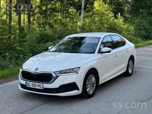 White Skoda Octavia 2022 in Jelgava, with an engine capacity of 2.00 L and mileage of 0 thousand km for 13990 €, photo  on AUTOMOTO.COM.LV