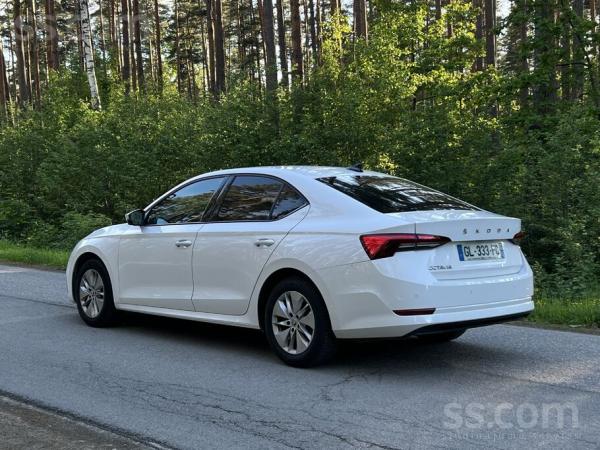 White Skoda Octavia 2022 in Jelgava, with an engine capacity of 2.00 L and mileage of 0 thousand km for 13990 €, photo 6 on AUTOMOTO.COM.LV