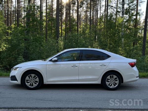 White Skoda Octavia 2022 in Jelgava, with an engine capacity of 2.00 L and mileage of 0 thousand km for 13990 €, photo 7 on AUTOMOTO.COM.LV
