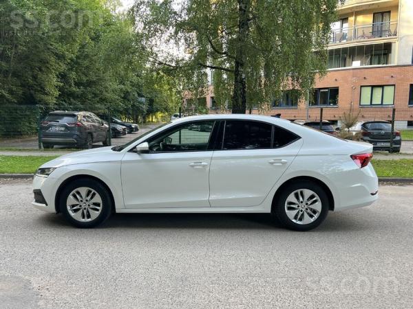 Белый Шкода Октавия 2022 в Елгава, объемом двигателя 2.00 л и пробегом 0 тыс. км за 14200 €, фото 6 на AUTOMOTO.COM.LV