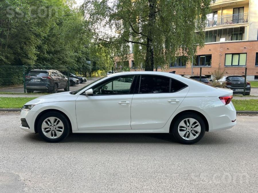Balts Skoda Octavia 2022 Jelgava, ar dzinēja tilpumu 2.00 L un nobraukumu 0 tūkst. km par 14200 €, foto 7 vietnē AUTOMOTO.COM.LV