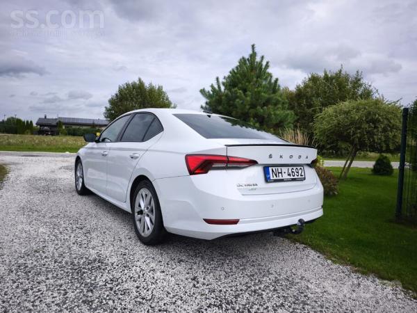 Skoda Octavia 2022 Rīga vietnē Balts Skoda Octavia 2022 Rīga, ar dzinēja tilpumu 1.00 L un nobraukumu 63 tūkst. km par 14850 €, foto 3 vietnē AUTOMOTO.COM.LV