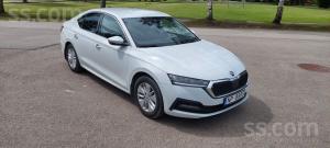 Balts Skoda Octavia 2023 Dobele, ar dzinēja tilpumu 2.00 L un nobraukumu 73 tūkst. km par 16000 €, foto 3 vietnē AUTOMOTO.COM.LV