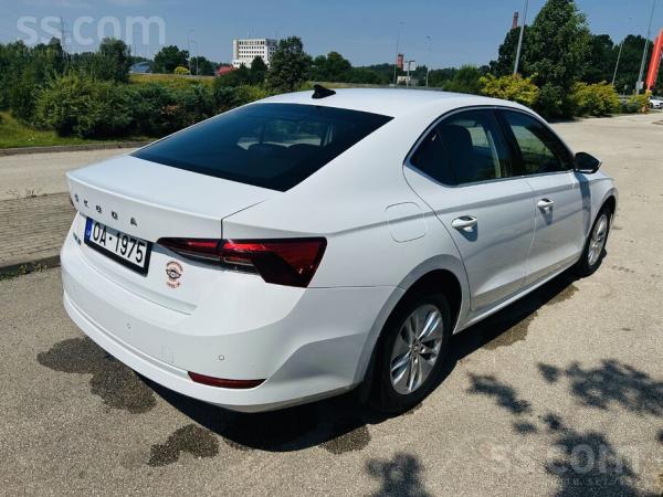 Balts Skoda Octavia 2023 Ogre, ar dzinēja tilpumu 2.00 L un nobraukumu 77 tūkst. km par 15950 €, foto 5 vietnē AUTOMOTO.COM.LV