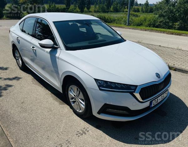 Balts Skoda Octavia 2023 Ogre, ar dzinēja tilpumu 2.00 L un nobraukumu 77 tūkst. km par 15950 €, foto 7 vietnē AUTOMOTO.COM.LV
