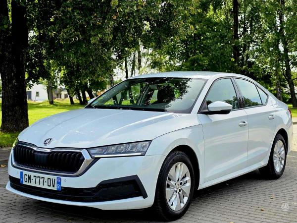 Balts Skoda Octavia 2023 Tauragė, ar dzinēja tilpumu 1.97 L un nobraukumu 187 tūkst. km par 12500 €, foto 3 vietnē AUTOMOTO.COM.LV
