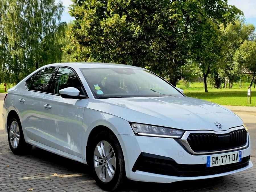 White Skoda Octavia 2023 in Taurage, with an engine capacity of 1.97 L and mileage of 187 thousand km for 12500 €, photo 4 on AUTOMOTO.COM.LV