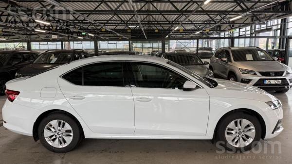 Balts Skoda Octavia 2024 Rīga, ar dzinēja tilpumu 2.00 L un nobraukumu 81 tūkst. km par 16900 €, foto 5 vietnē AUTOMOTO.COM.LV