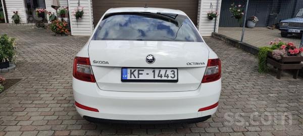 Balts Skoda Octavia 2015 Bauska, ar dzinēja tilpumu 2.00 L un nobraukumu 207 tūkst. km par 7250 €, foto 6 vietnē AUTOMOTO.COM.LV