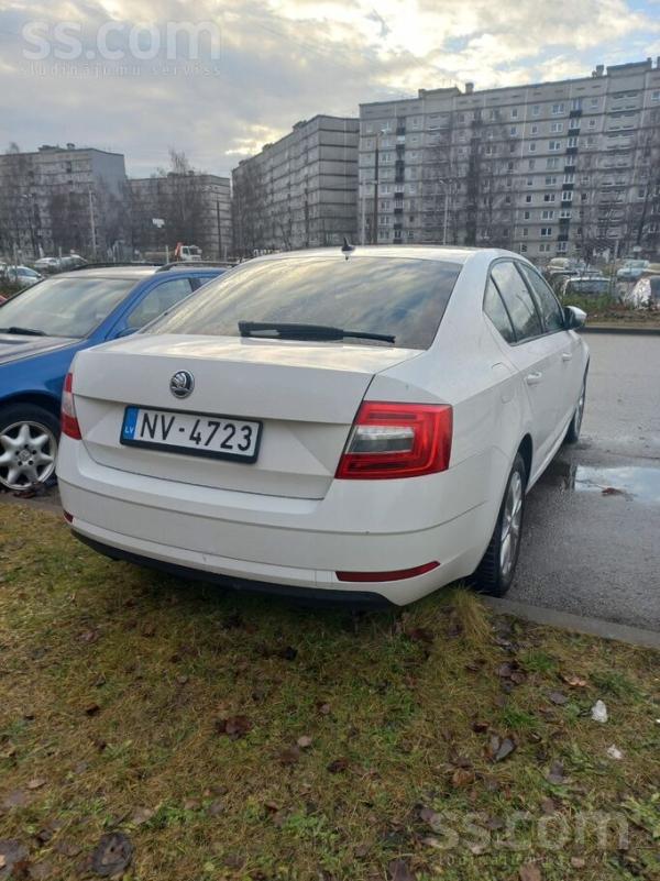 Balts Skoda Octavia 2017 Rīga, ar dzinēja tilpumu 1.60 L un nobraukumu 240 tūkst. km par 4500 €, foto 3 vietnē AUTOMOTO.COM.LV