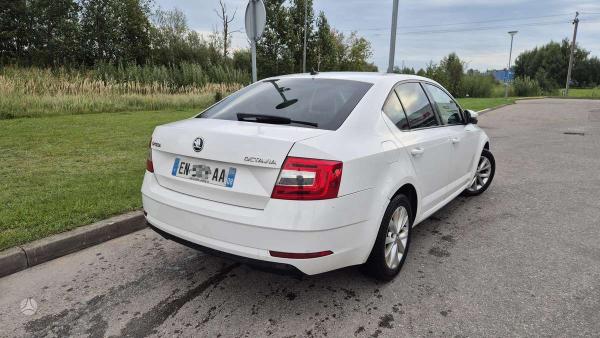 Balts Skoda Octavia 2017 Tauragė, ar dzinēja tilpumu 1.60 L un nobraukumu 255 tūkst. km par 5300 €, foto 10 vietnē AUTOMOTO.COM.LV