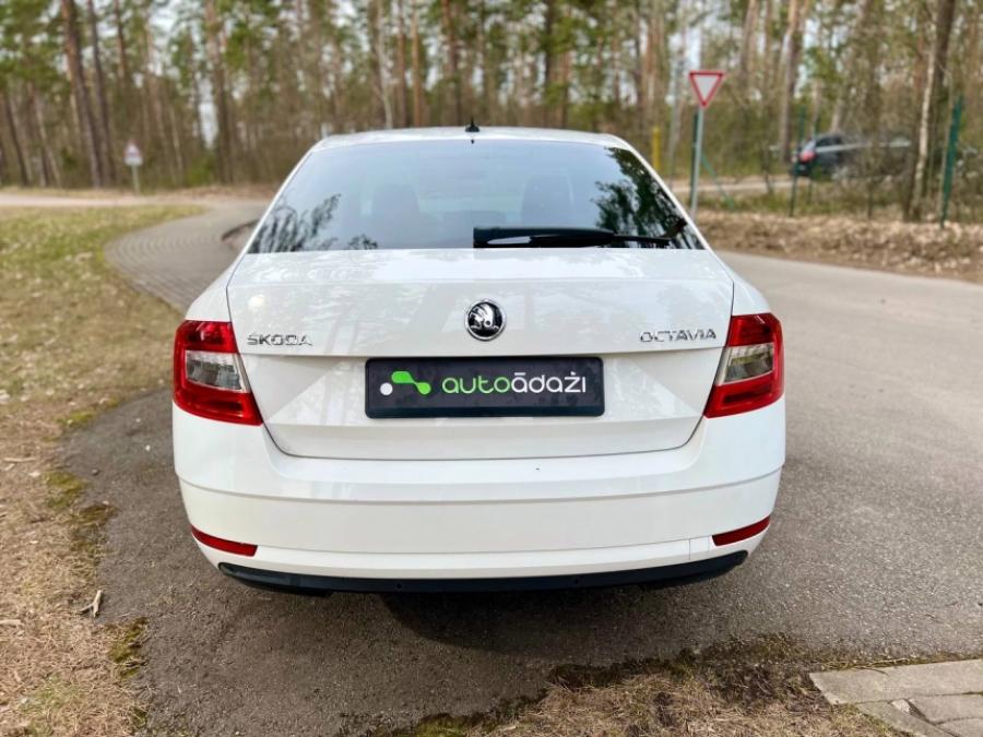 Белый Шкода Октавия 2018 в Рига, объемом двигателя 1.60 л и пробегом 136 тыс. км за 9950 €, фото 13 на AUTOMOTO.COM.LV