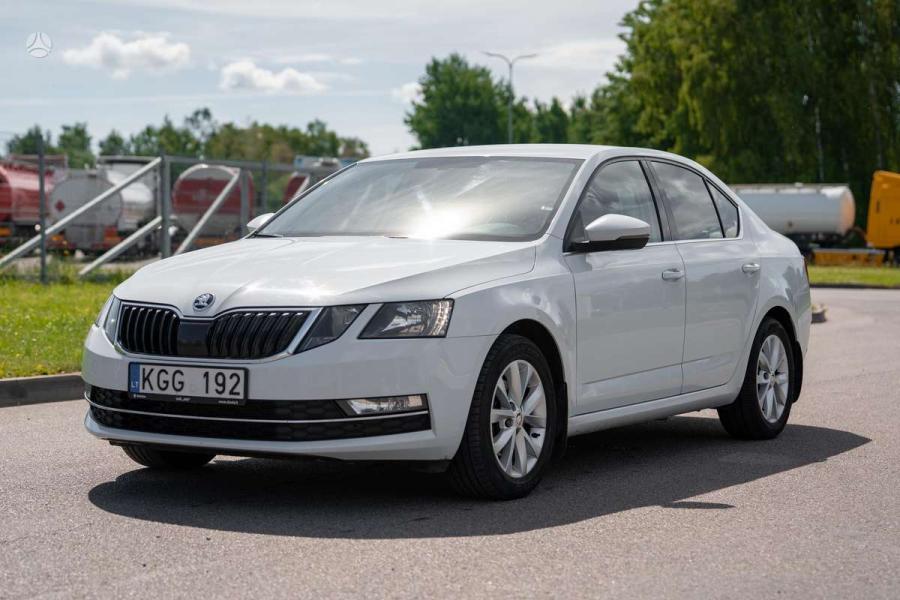 Balts Skoda Octavia 2018 Kauņa, ar dzinēja tilpumu 1.40 L un nobraukumu 252 tūkst. km par 6800 €, foto 6 vietnē AUTOMOTO.COM.LV