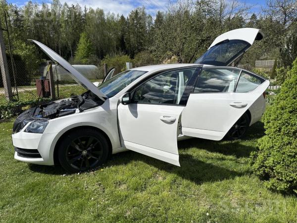 Шкода Октавия 2019 в Рига на AUTOMOTO.COM.LV Белый Шкода Октавия 2019 в Рига, объемом двигателя 1.60 л и пробегом 276 тыс. км за 8800 €, фото 11 на AUTOMOTO.COM.LV