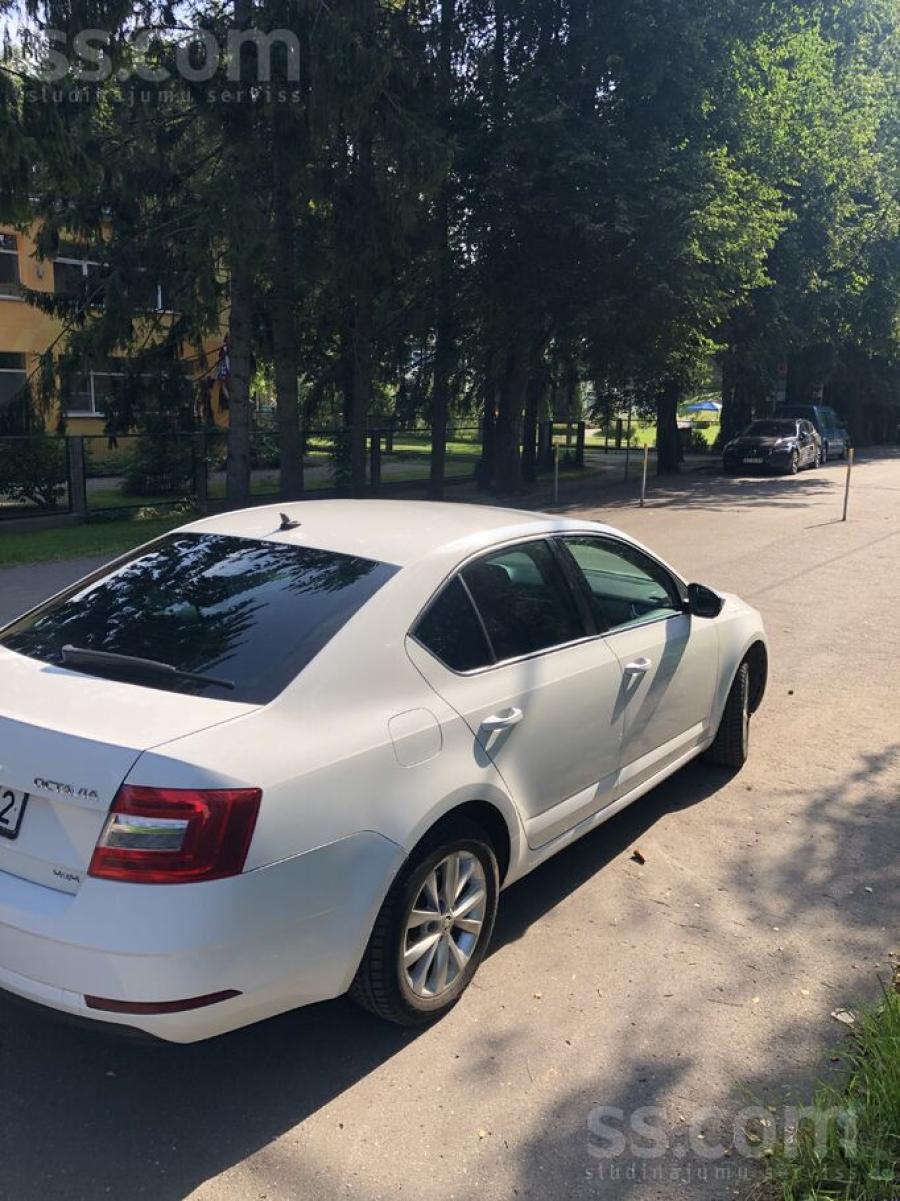 White Skoda Octavia 2019 in Riga, with an engine capacity of 1.60 L and mileage of 211 thousand km for 8700 €, photo 6 on AUTOMOTO.COM.LV