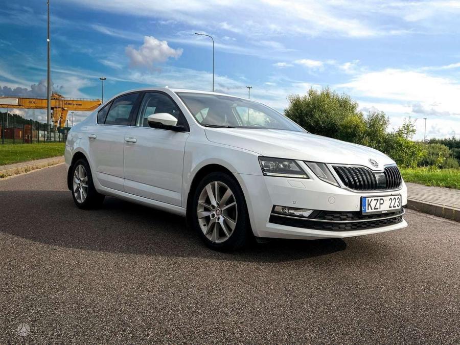 Balts Skoda Octavia 2019 Širvintos, ar dzinēja tilpumu 1.60 L un nobraukumu 194 tūkst. km par 9800 €, foto 1 vietnē AUTOMOTO.COM.LV