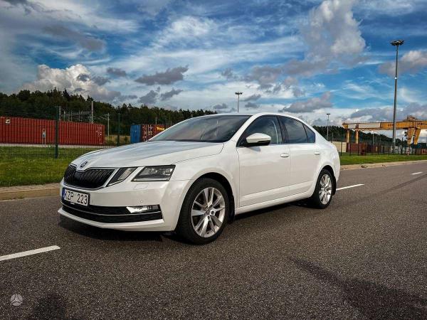 Balts Skoda Octavia 2019 Širvintos, ar dzinēja tilpumu 1.60 L un nobraukumu 194 tūkst. km par 9800 €, foto 9 vietnē AUTOMOTO.COM.LV