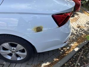 Balts Skoda Octavia 2021 Kauņa, ar dzinēja tilpumu 1.00 L un nobraukumu 113 tūkst. km par 11800 €, foto 8 vietnē AUTOMOTO.COM.LV