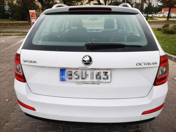 Шкода Октавия 2015 в Вильнюс на AUTOMOTO.COM.LV Белый Шкода Октавия 2015 в Вильнюс, объемом двигателя 1.60 л и пробегом 239 тыс. км за 6650 €, фото 6 на AUTOMOTO.COM.LV
