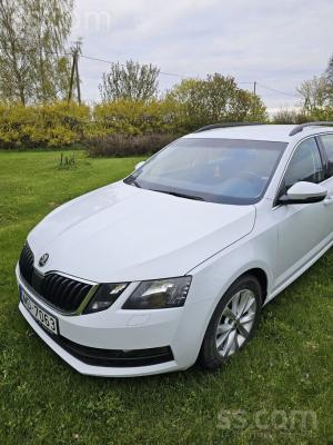 Balts Skoda Octavia 2019 Valmiera, ar dzinēja tilpumu 1.60 L un nobraukumu 180 tūkst. km par 9000 €, foto 1 vietnē AUTOMOTO.COM.LV