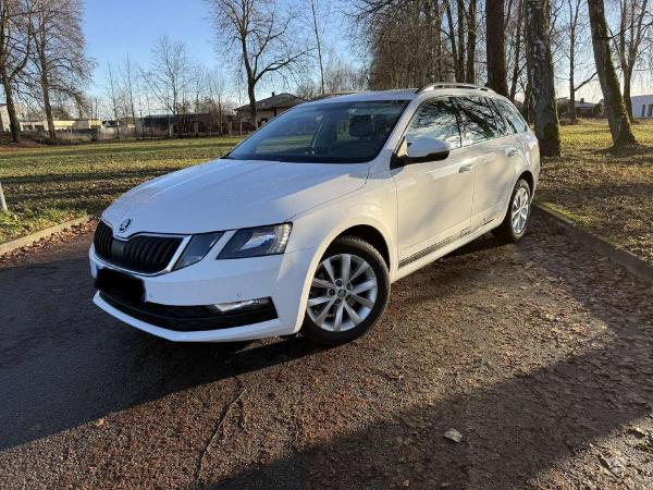 Balts Skoda Octavia 2019 Tauragė, ar dzinēja tilpumu 1.97 L un nobraukumu 325 tūkst. km par 6900 €, foto 1 vietnē AUTOMOTO.COM.LV