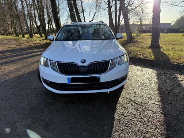Balts Skoda Octavia 2019 Tauragė, ar dzinēja tilpumu 1.97 L un nobraukumu 325 tūkst. km par 6900 €, foto 2 vietnē AUTOMOTO.COM.LV