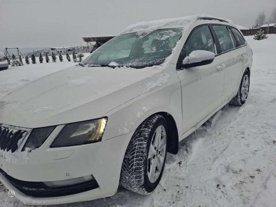 Balts Skoda Octavia 2019 Kauņa, ar dzinēja tilpumu 1.00 L un nobraukumu 125 tūkst. km par 5869 €, foto 7 vietnē AUTOMOTO.COM.LV