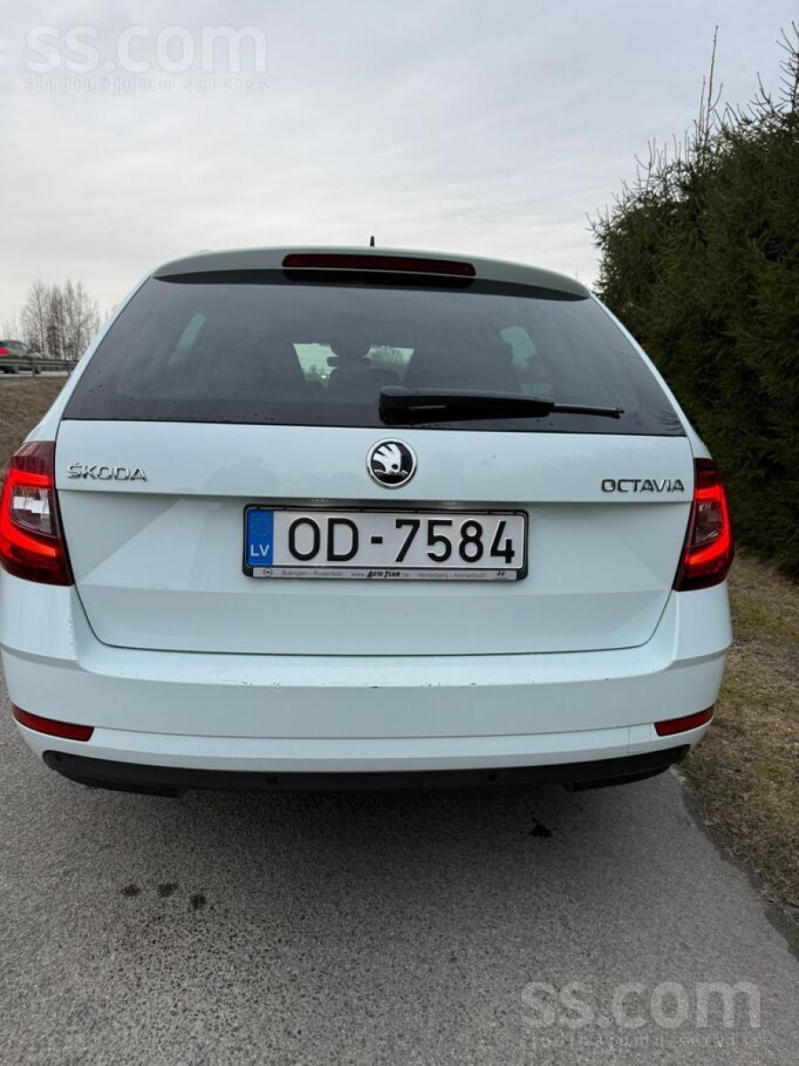Balts Skoda Octavia 2019 Rīga, ar dzinēja tilpumu 1.50 L un nobraukumu 259 tūkst. km par 9500 €, foto 5 vietnē AUTOMOTO.COM.LV