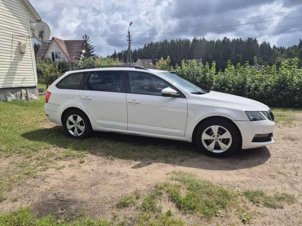 White Skoda Octavia 2020 in Vilnius, with an engine capacity of 1.60 L and mileage of 350 thousand km for 4390 €, photo 6 on AUTOMOTO.COM.LV