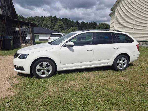 White Skoda Octavia 2020 in Vilnius, with an engine capacity of 1.60 L and mileage of 350 thousand km for 4390 €, photo 7 on AUTOMOTO.COM.LV