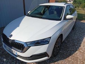 Balts Skoda Octavia 2021 Jurbarkas, ar dzinēja tilpumu 1.97 L un nobraukumu 248 tūkst. km par 10900 €, foto 11 vietnē AUTOMOTO.COM.LV