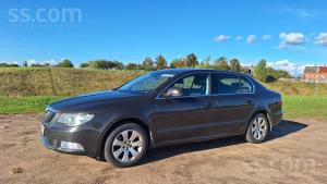 Brown Skoda SuperB 2009 in Daugavpils, with an engine capacity of 2.00 L and mileage of 384 thousand km for 3200 €, photo 3 on AUTOMOTO.COM.LV