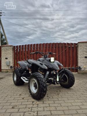 Black SMC Wildcat 2010 in Vilnius, with an engine capacity of 0.20 L and mileage of 0 thousand km for 800 €, photo  on AUTOMOTO.COM.LV