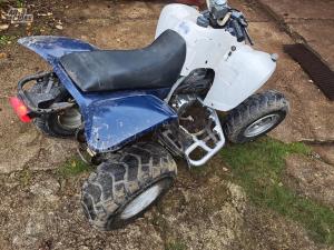 SMC Wildcat 2006 в Вильнюс, объемом двигателя 0.00 л и пробегом 0 тыс. км за 900 €, фото 5 на AUTOMOTO.COM.LV