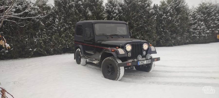 Cанг Йонг Корандо 1995 в Вильнюс, объемом двигателя 2.20 л и пробегом 150 тыс. км за 5000 €, фото 3 на AUTOMOTO.COM.LV