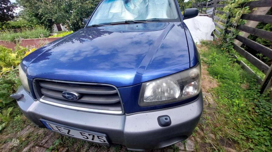 Zils Subaru Forester 2004 Viļņa, ar dzinēja tilpumu 1.99 L un nobraukumu 360 tūkst. km par 2500 €, foto 1 vietnē AUTOMOTO.COM.LV