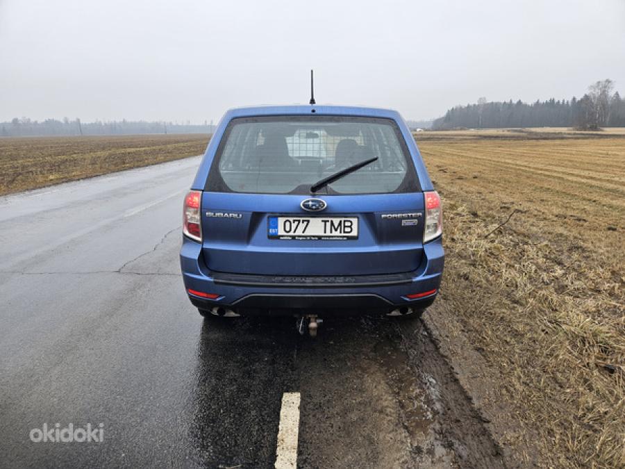 Zils Subaru Forester 2009 Rapla, ar dzinēja tilpumu 0.00 L un nobraukumu 0 tūkst. km par 2222 €, foto 6 vietnē AUTOMOTO.COM.LV