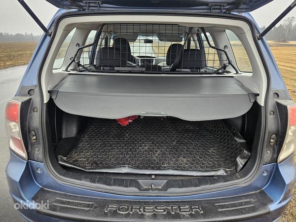 Zils Subaru Forester 2009 Rapla, ar dzinēja tilpumu 0.00 L un nobraukumu 0 tūkst. km par 2222 €, foto 6 vietnē AUTOMOTO.COM.LV
