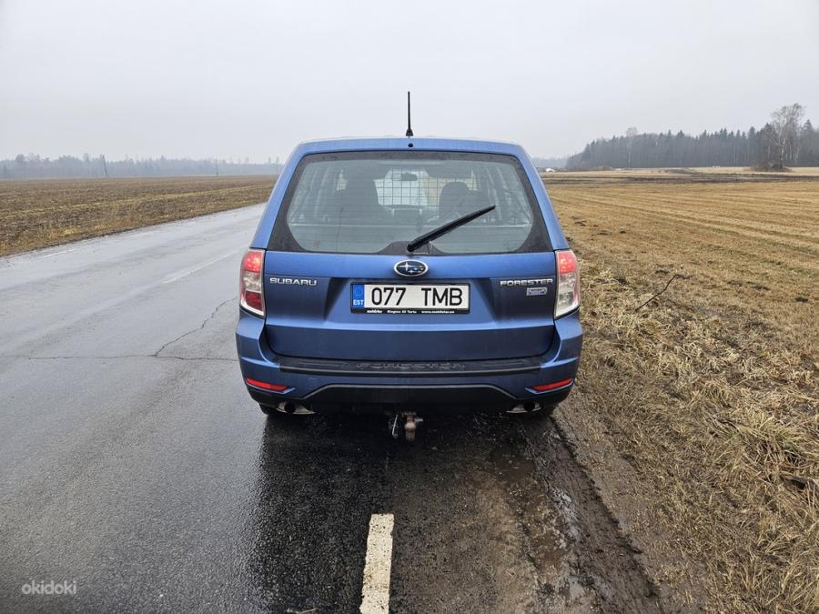 Zils Subaru Forester 2009 Rapla, ar dzinēja tilpumu 0.00 L un nobraukumu 0 tūkst. km par 2222 €, foto 17 vietnē AUTOMOTO.COM.LV