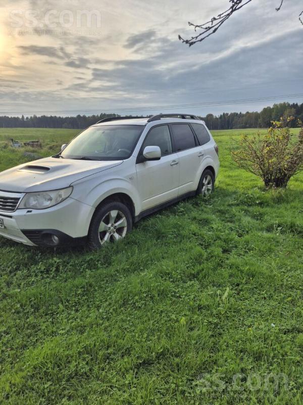 Subaru Forester 2008 Cēsis vietnē Balts Subaru Forester 2008 Cēsis, ar dzinēja tilpumu 2.00 L un nobraukumu 0 tūkst. km par 1500 €, foto 3 vietnē AUTOMOTO.COM.LV