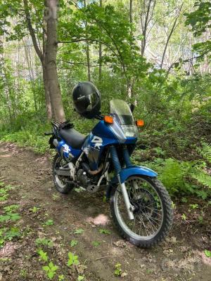 Suzuki DR 650 1991 in Valmiera, with an engine capacity of 0.65 L and mileage of 0 thousand km for 1350 €, photo  on AUTOMOTO.COM.LV