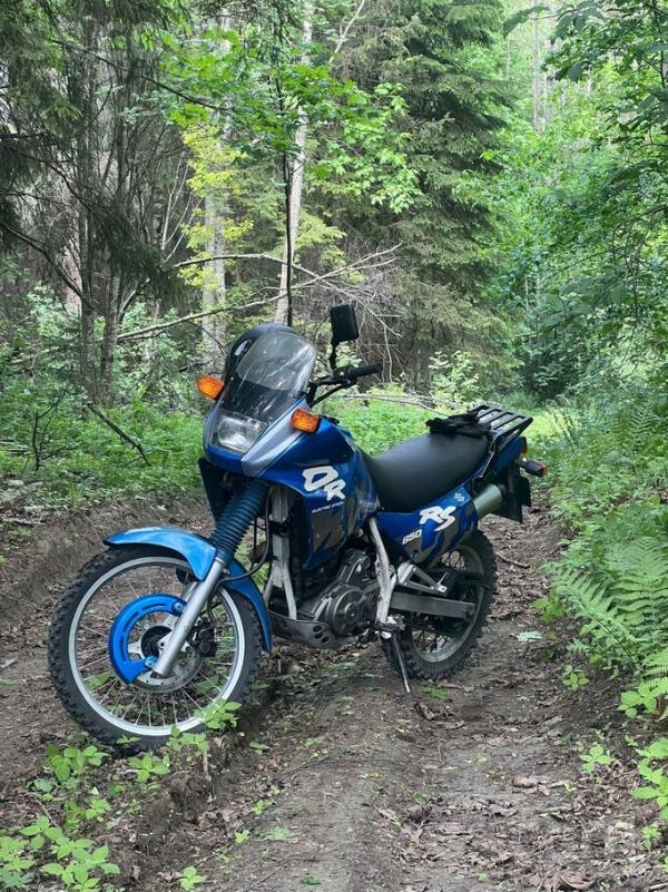 Suzuki DR 650 1991 Valmiera, ar dzinēja tilpumu 0.65 L un nobraukumu 0 tūkst. km par 1350 €, foto 3 vietnē AUTOMOTO.COM.LV