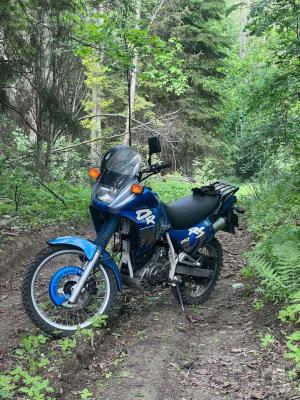 Suzuki DR 650 1991 in Valmiera, with an engine capacity of 0.65 L and mileage of 0 thousand km for 1350 €, photo 4 on AUTOMOTO.COM.LV