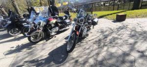 Red Suzuki Intruder 1995 in Kaunas, with an engine capacity of 0.80 L and mileage of 30 thousand km for 3600 €, photo 6 on AUTOMOTO.COM.LV