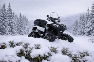 White Suzuki King Quad 2010 in Tallinn, with an engine capacity of 0.75 L and mileage of 2 thousand km for 8500 €, photo  on AUTOMOTO.COM.LV