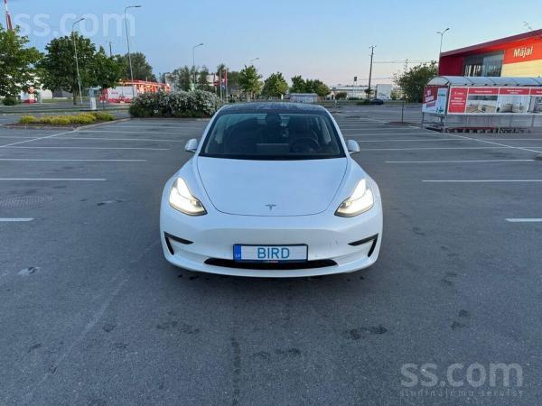 Белый Тесла Модель 3 2020 в Рига, объемом двигателя 0.00 л и пробегом 0 тыс. км за 21999 €, фото 7 на AUTOMOTO.COM.LV