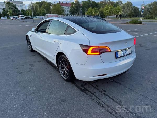 Белый Тесла Модель 3 2020 в Рига, объемом двигателя 0.00 л и пробегом 0 тыс. км за 22000 €, фото 6 на AUTOMOTO.COM.LV